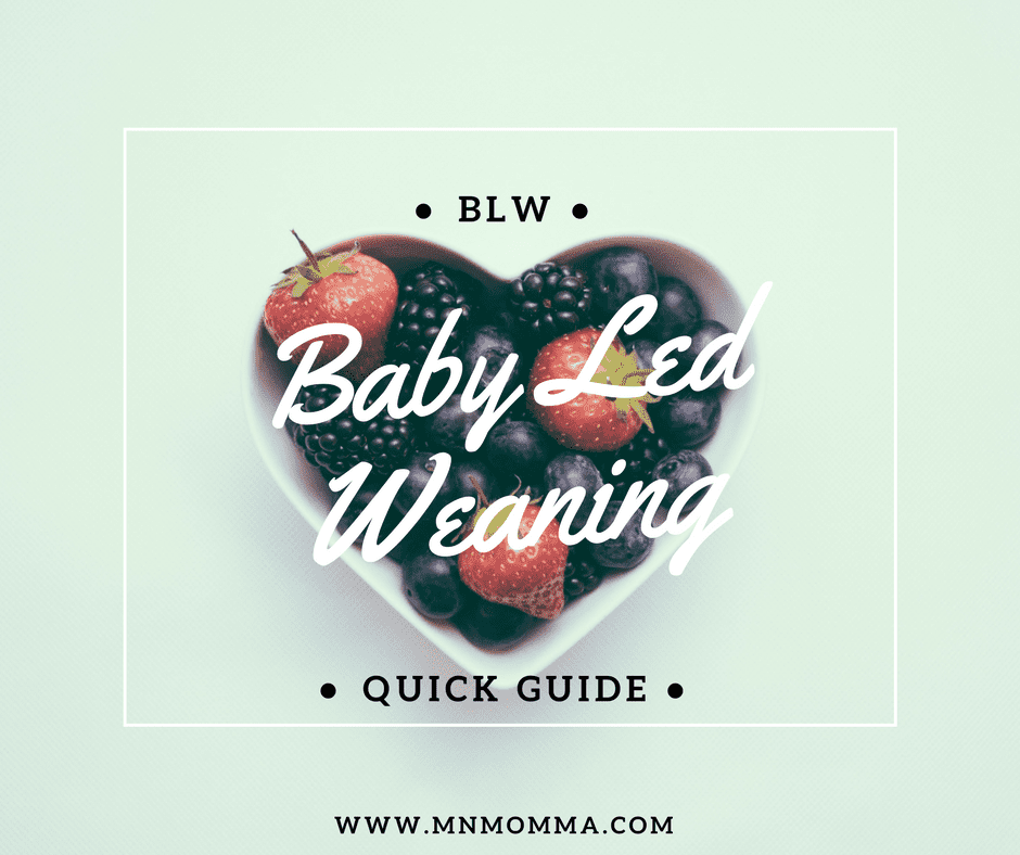 Baby Led Weaning Quick Guide - Minnesota Momma