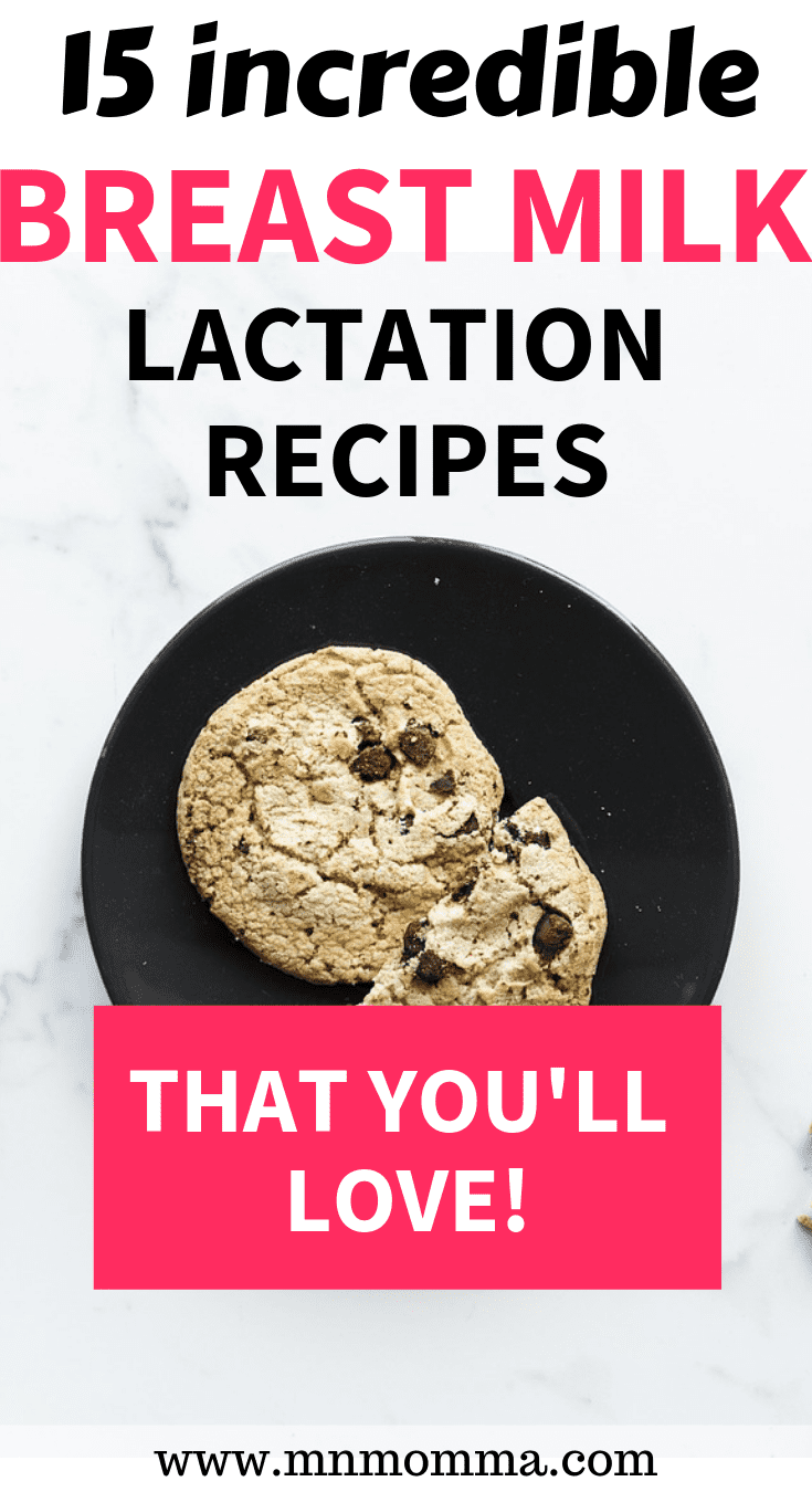 15+ Best Lactation Recipes & Snacks for Pumping Moms