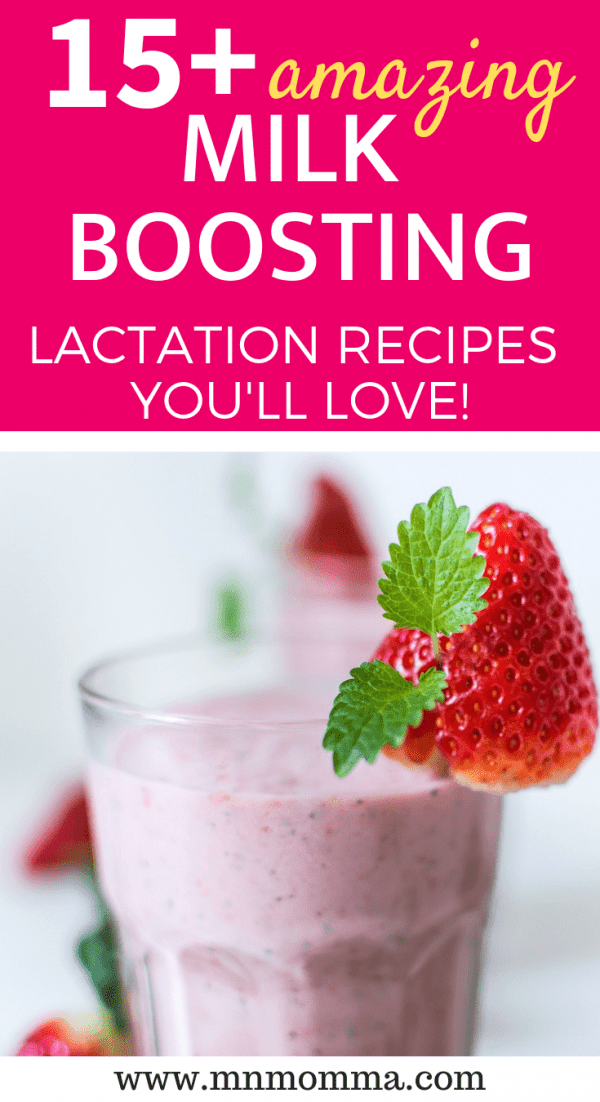 15+ Best Lactation Recipes & Snacks for Pumping Moms