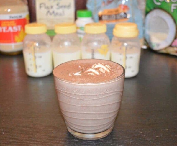 15+ Best Lactation Recipes & Snacks for Pumping Moms