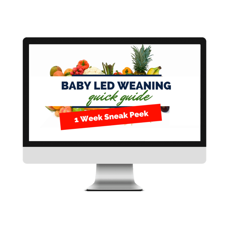 Baby Led Weaning Quick Guide - Minnesota Momma