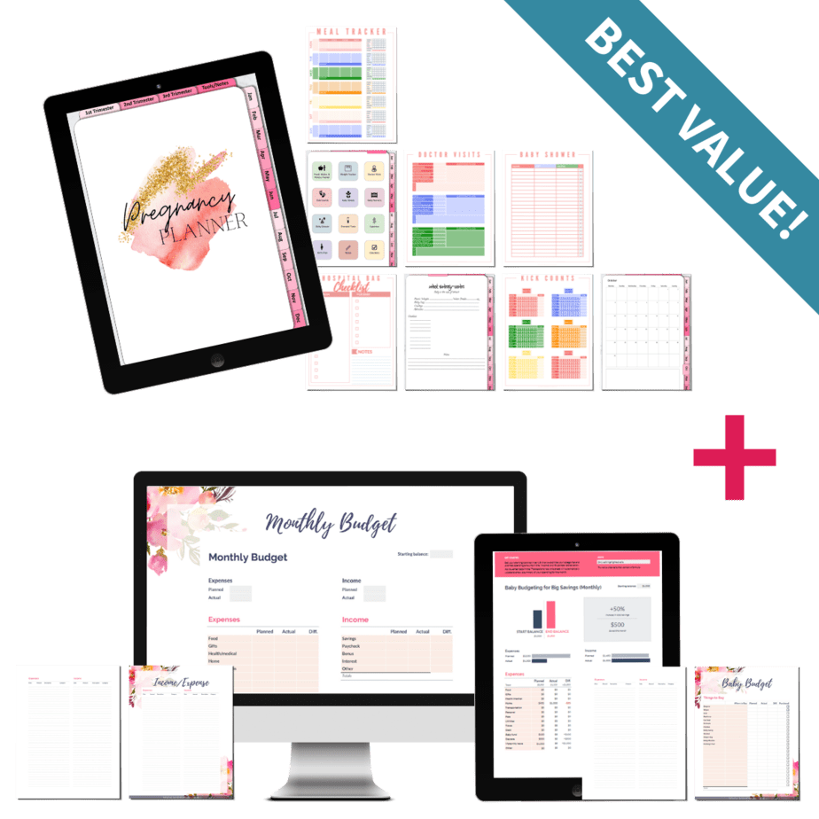 Digital Pregnancy Planner - Minnesota Momma